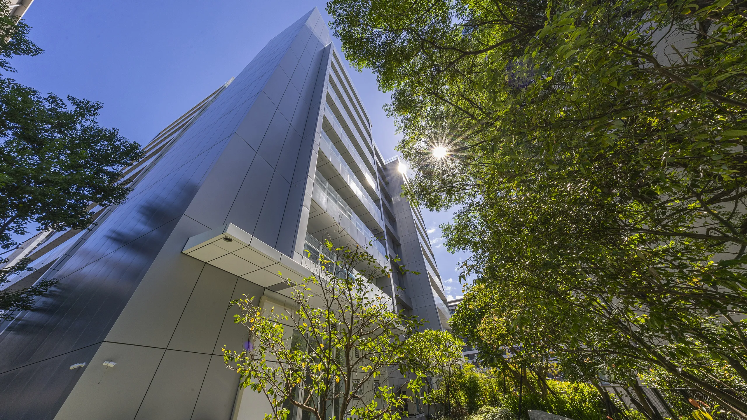 Sunland Mark 贏家總部 內科廠辦